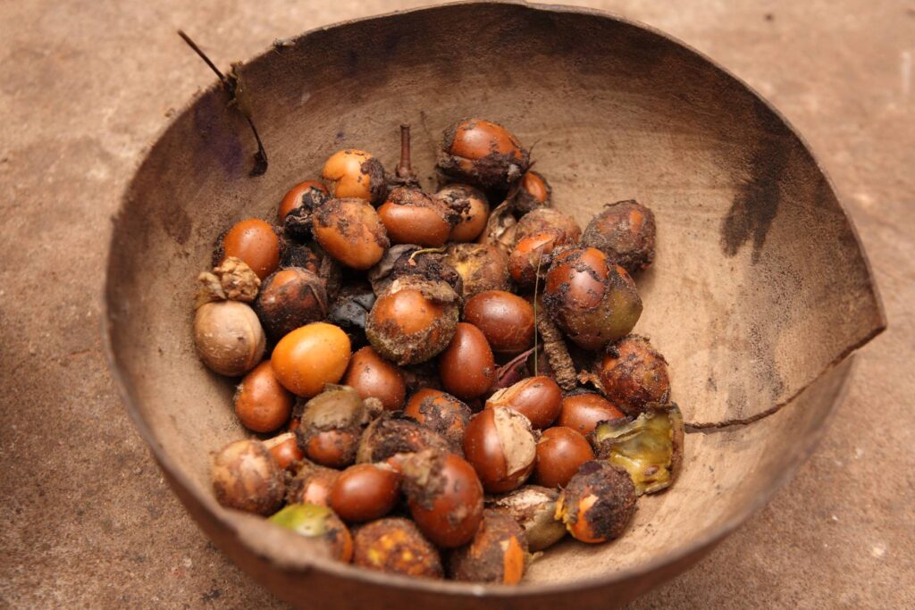 How to Make Shea Butter Traditionally - Countryside